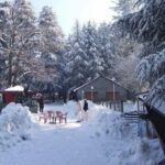 Snow Adventure in Foot Hills of Himalayas From Lahore - Who Will Love This Tour?