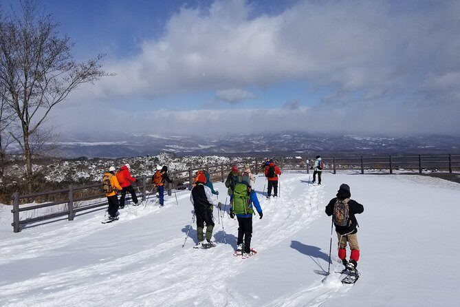 -Snow mountain hiking at the foot of Asama- Karuizawa Snowshoe Tour - Overview and Experience Breakdown