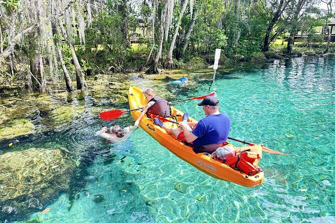 Snowbirds Paddle Club Guided Kayak and Paddleboard Sessions - The Sum Up