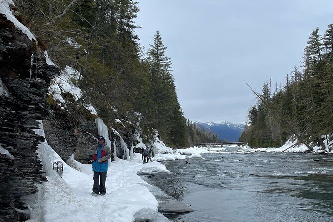 Snowshoe and Scenic Drive Tour in Glacier National Park - Who This Tour Is Best For