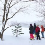 Snowshoe tours in Niseko Explore beautiful snowscapes adventure - Why Choose This Tour?
