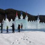 Snowyland, Strawberry Picking & Alpaca World - What Makes This Tour Stand Out?