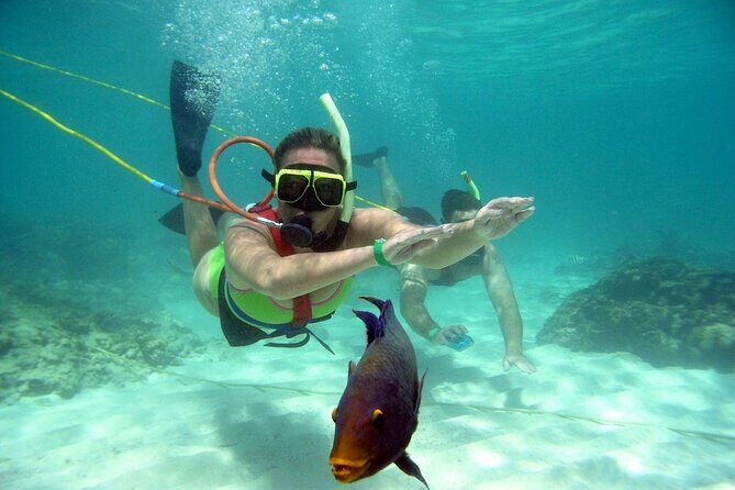 Snuba Snorkelking Parasailing and Catamaran Pack - Final Thoughts