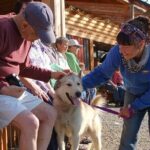 Snuggle Puppies and Learn about the Iditarod - Who Will Love This Tour?