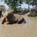 SO MANY BAD TITLES - The Practicalities: What to Expect