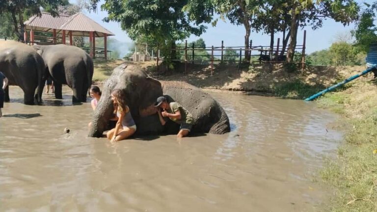 SO MANY BAD TITLES - The Practicalities: What to Expect