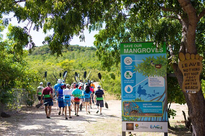 SoCoHo Eco Kayak and Snorkel Tour - What Our Reviewers Say