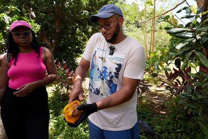 Soma Garden All Inclusive Tropical Fruit Farm Tour - Who would love this?