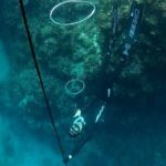 Son Tra Snorkeling Adventure with traditional boat - Why This Tour Is a Great Choice