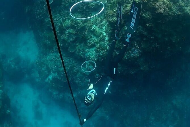 Son Tra Snorkeling Adventure with traditional boat - Why This Tour Is a Great Choice