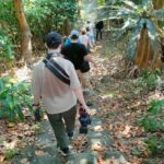 Songs Beneath the Stars on Okinawas 65-Person Hidden Island - What to Expect from the Tour