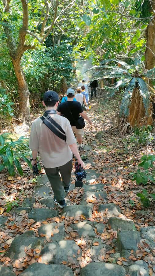 Songs Beneath the Stars on Okinawas 65-Person Hidden Island - What to Expect from the Tour