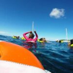 Sosua Catamaran Excursion - Authentic Experiences and Guest Perspectives