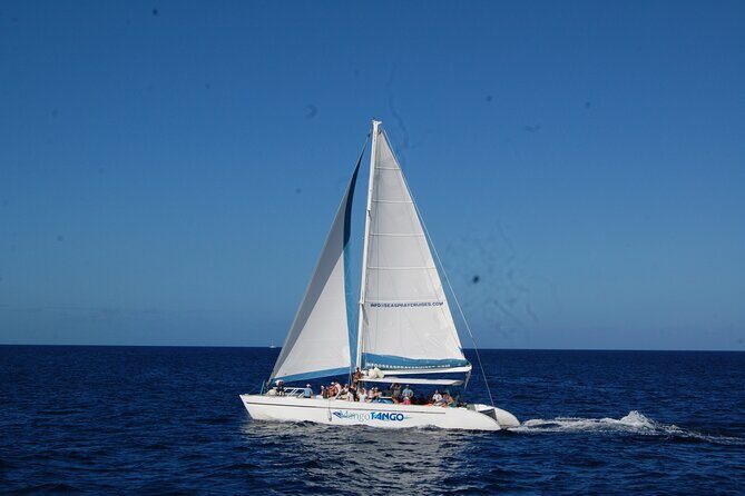 Soufriere to Rodney Bay Catamaran Transfer - Final Thoughts