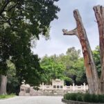 Sounds of Chapultepec Musical Journey through the History of Mexico - A Closer Look at the Experience