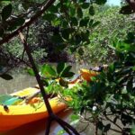 South Caribbean Tour in Martinique - FAQs