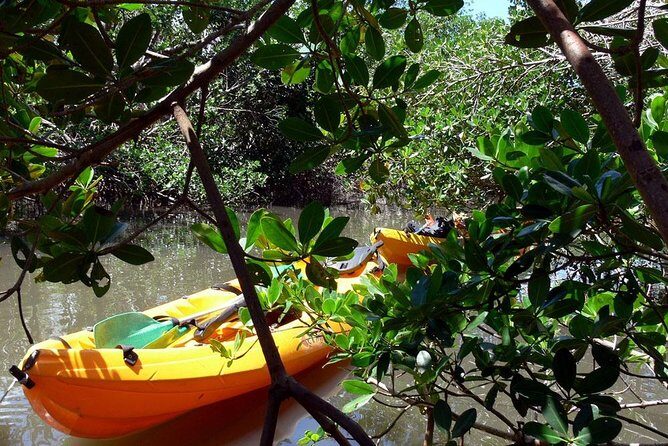 South Caribbean Tour in Martinique - FAQs