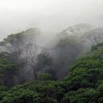 South Coast: Sinharaja Rainforest Walk and Waterfall - FAQ