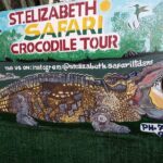 South Coast Tour to YS Falls, Black River Safari and Appleton Rum - The Practical Side: Transportation, Pricing, and Comfort