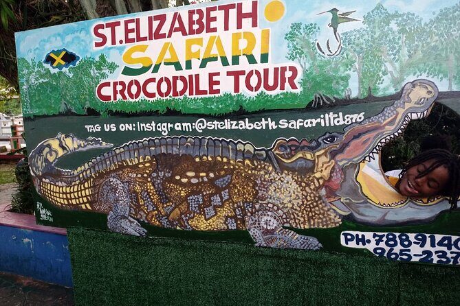 South Coast Tour to YS Falls, Black River Safari and Appleton Rum - The Practical Side: Transportation, Pricing, and Comfort