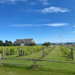 South Eastern PEI and Lighthouses Private Tour - Who Will Love This Tour?