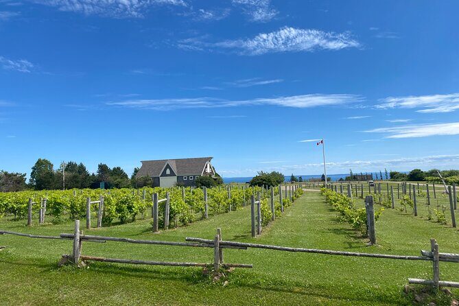 South Eastern PEI and Lighthouses Private Tour - Who Will Love This Tour?