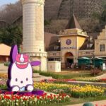 South Korea Everland Theme Park Ticket - Practical Tips for Visiting Everland