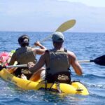 South Maui: Waterfall Tour w/ Kayak, Snorkel, and Hike - Practical Details and Considerations