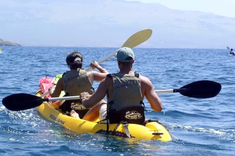 South Maui: Waterfall Tour w/ Kayak, Snorkel, and Hike - Practical Details and Considerations