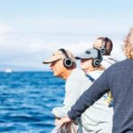 South Maui: Whale Watch Sail with Live Immersive Whale Songs - What to Expect: A Closer Look at the Experience