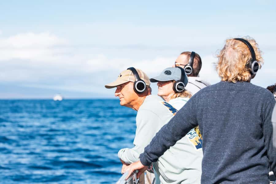 South Maui: Whale Watch Sail with Live Immersive Whale Songs - What to Expect: A Closer Look at the Experience