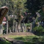 South Sulawesi, Toraja: Multiday Cultural Tour from Makassar - Overall Value and Who Will Love This Tour