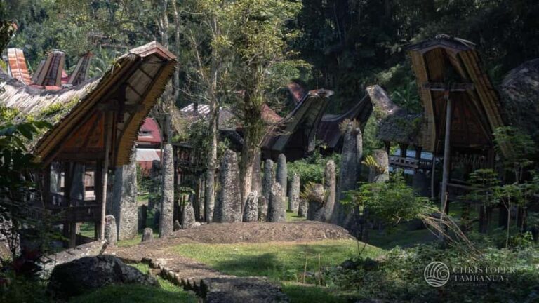 South Sulawesi, Toraja: Multiday Cultural Tour from Makassar - Overall Value and Who Will Love This Tour