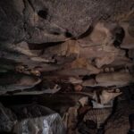 South Sulawesi: Toraja Tour with Meals and Accommodation - Final Thoughts