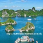 Southeast Asia 23-day: Vietnam, Cambodia & Thailand - What the Reviews Say