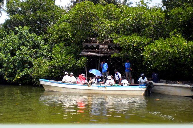 Southern Sri Lanka Sightseeing Private Day Trip - Final Thoughts