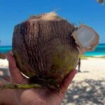 Southern VIP Route + Aguilas Bay: All Inclusive 2-Day Tour - Authentic Experiences and Traveler Feedback