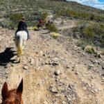 Southwest Horseback Riding with Spectacular Views - Who Would Enjoy This Tour?