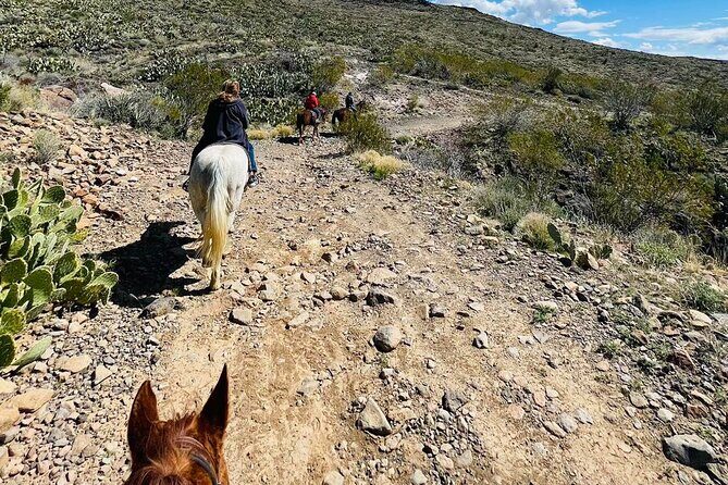 Southwest Horseback Riding with Spectacular Views - Who Would Enjoy This Tour?
