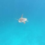 SouthWest Secret Gili,Gili Layar,Gili Gede&Gili Rengit - What’s Included and What’s Not?