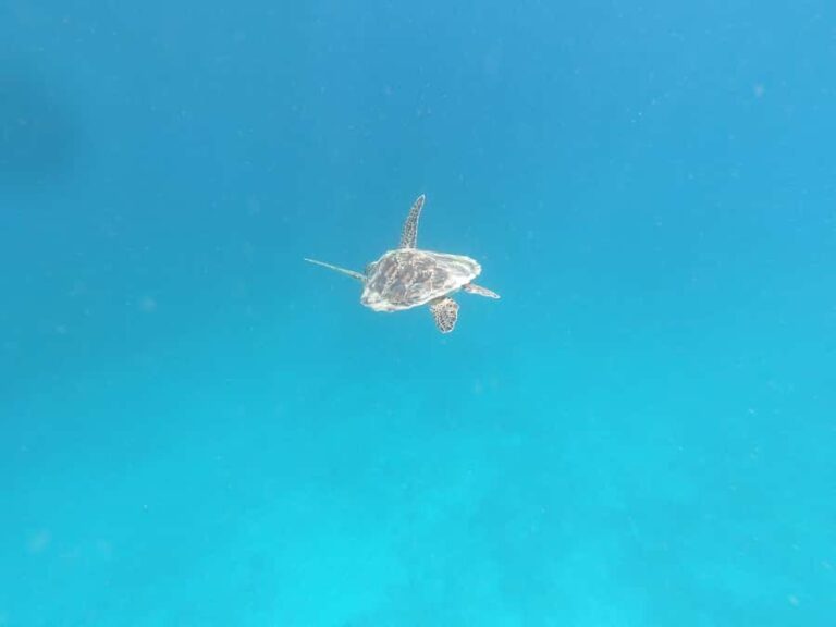 SouthWest Secret Gili,Gili Layar,Gili Gede&Gili Rengit - What’s Included and What’s Not?