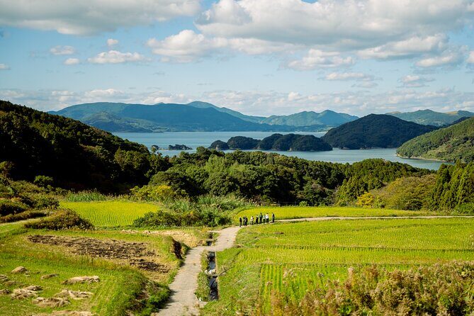 Spectacular terraced rice field walking experience