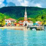 Speed Boat Dolphins and Turtles Full Day - Authentic Encounters and Scenic Beauty