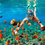 Speed Boat Extreme from Punta Cana - The Experience of the Tour