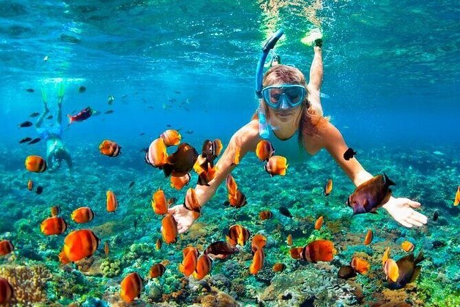 Speed Boat Extreme from Punta Cana - The Experience of the Tour