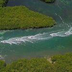 Speedboat tour Snorkeling and Transportation for One Price - What Makes This Tour Stand Out?