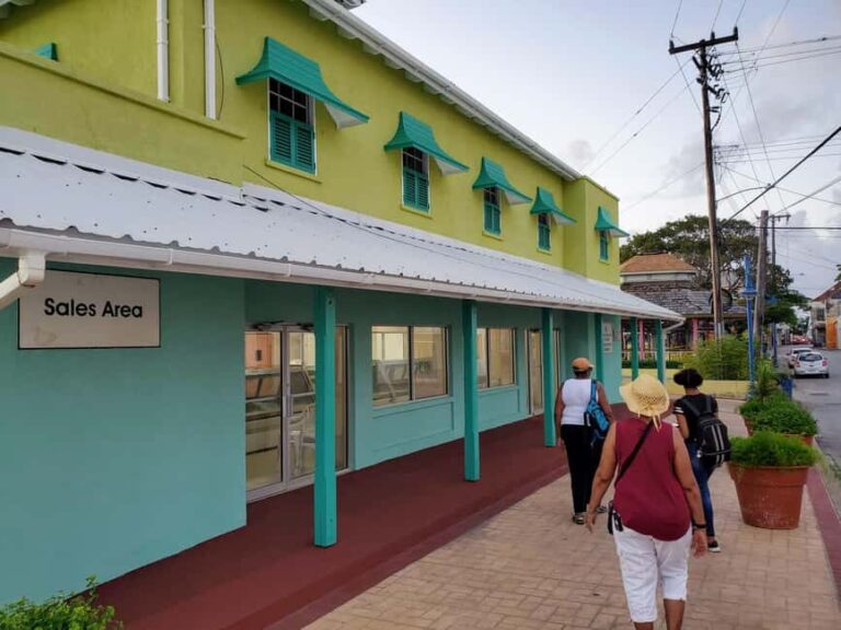 Speightstown: Historic Walking Tour - Value and Pricing