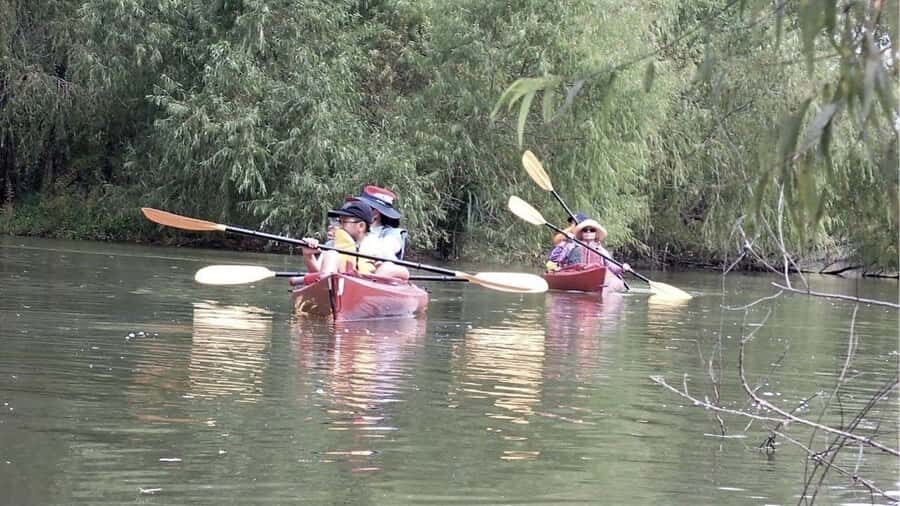 Spooky Swamp | Evening Paddle on Lake Charlotte(Sunset Tour) - The Sum Up
