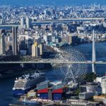 Spring LimitedNemophila Festival & Osaka Kaiyukan Day Trip - Final thoughts