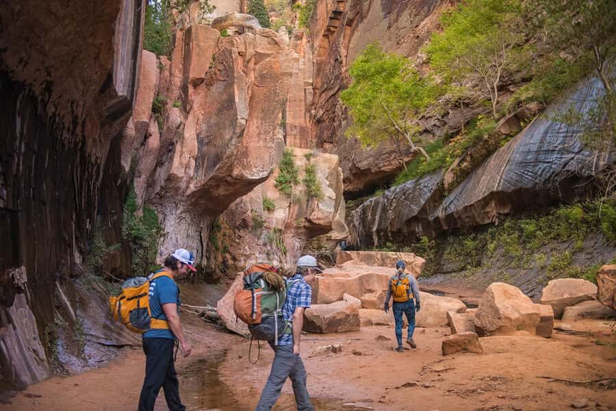 Springdale: Full-Day Zion National Park Canyoneering Tour - Final Thoughts
